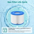 Future Way Type VI Replacement Hot Tub Spa Filters for Coleman, SaluSpa ...