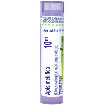 Hyland's PRID Drawing Salve, Splinter & Boil Remedy Ointment, Natural ...