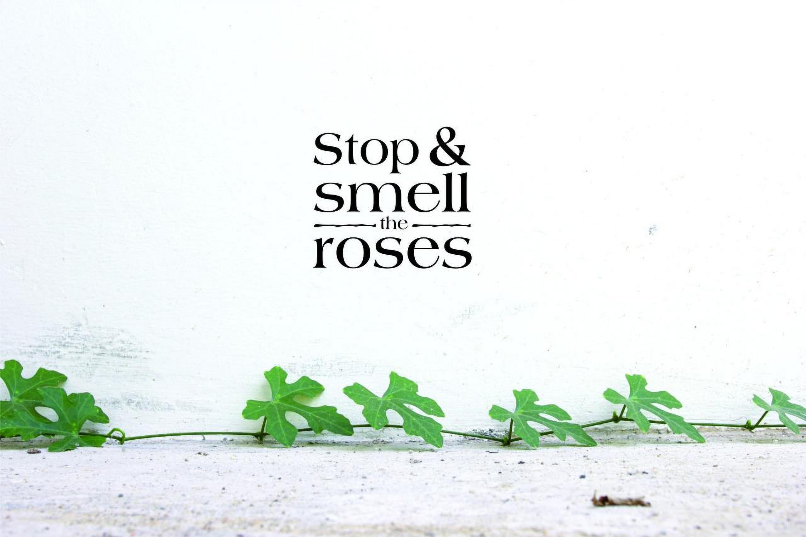 Stop & Smell The Roses Vinyl Wall Decal for Home - Gathering Family ...