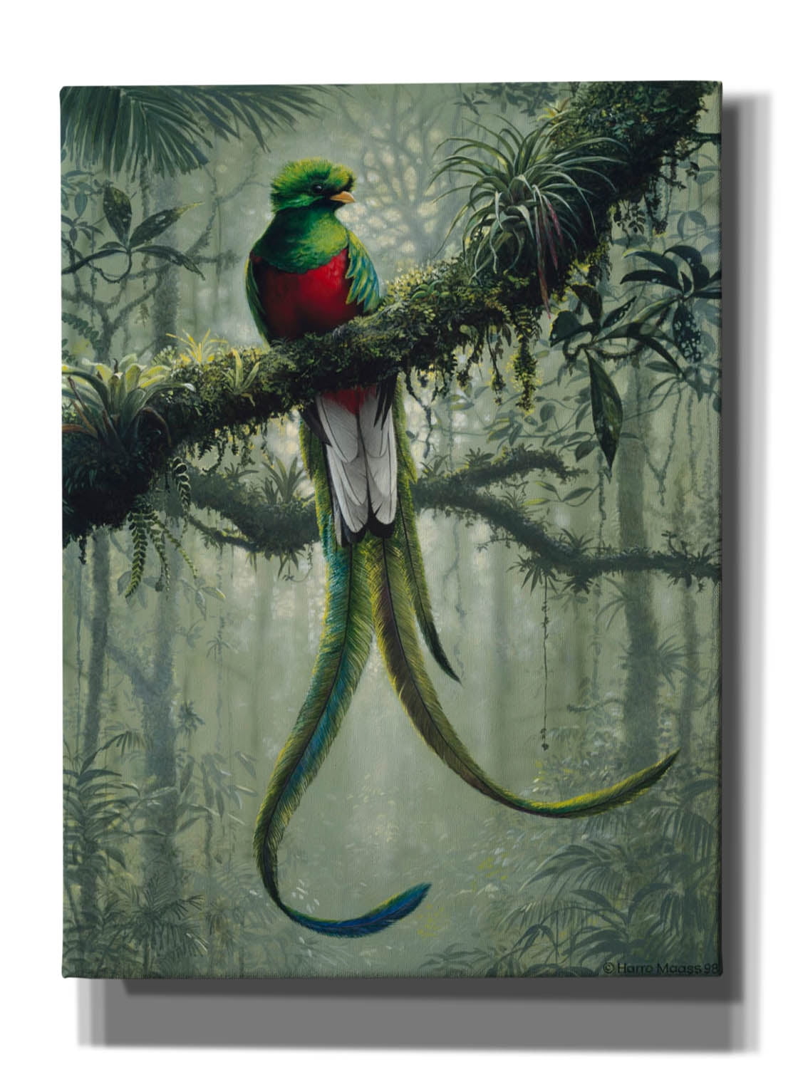 Epic Graffiti 'Resplendent Quetzal 2' by Harro Maass, Canvas Wall Art ...