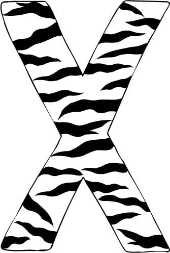 10in. Zebra Animal Print Letter Decals Stickers from A to Z - Walmart.com