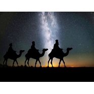 Iconic Arts - Steak Degrees of Doneness Temperature Chart Food Safety ...