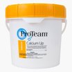 Robelle Calcium Plus for Swimming Pools - Walmart.com