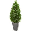Nearly Natural 5 Plastic Boxwood Topiary - Outdoor - Walmart.com
