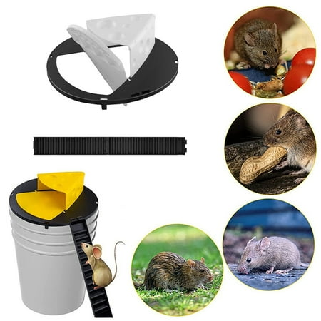 Auto Reset Recycled Mousetrap Plastic Door Style Reusable Flip Slide ...