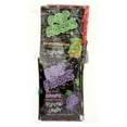 Pop Rocks Candy Variety Pack, 9 Assorted Flavors, Nostalgic 1980s Bulk ...