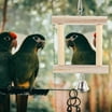 2 Pieces Chicken Mirror Toys Hanging Swing Mirror with Bell Wooden ...