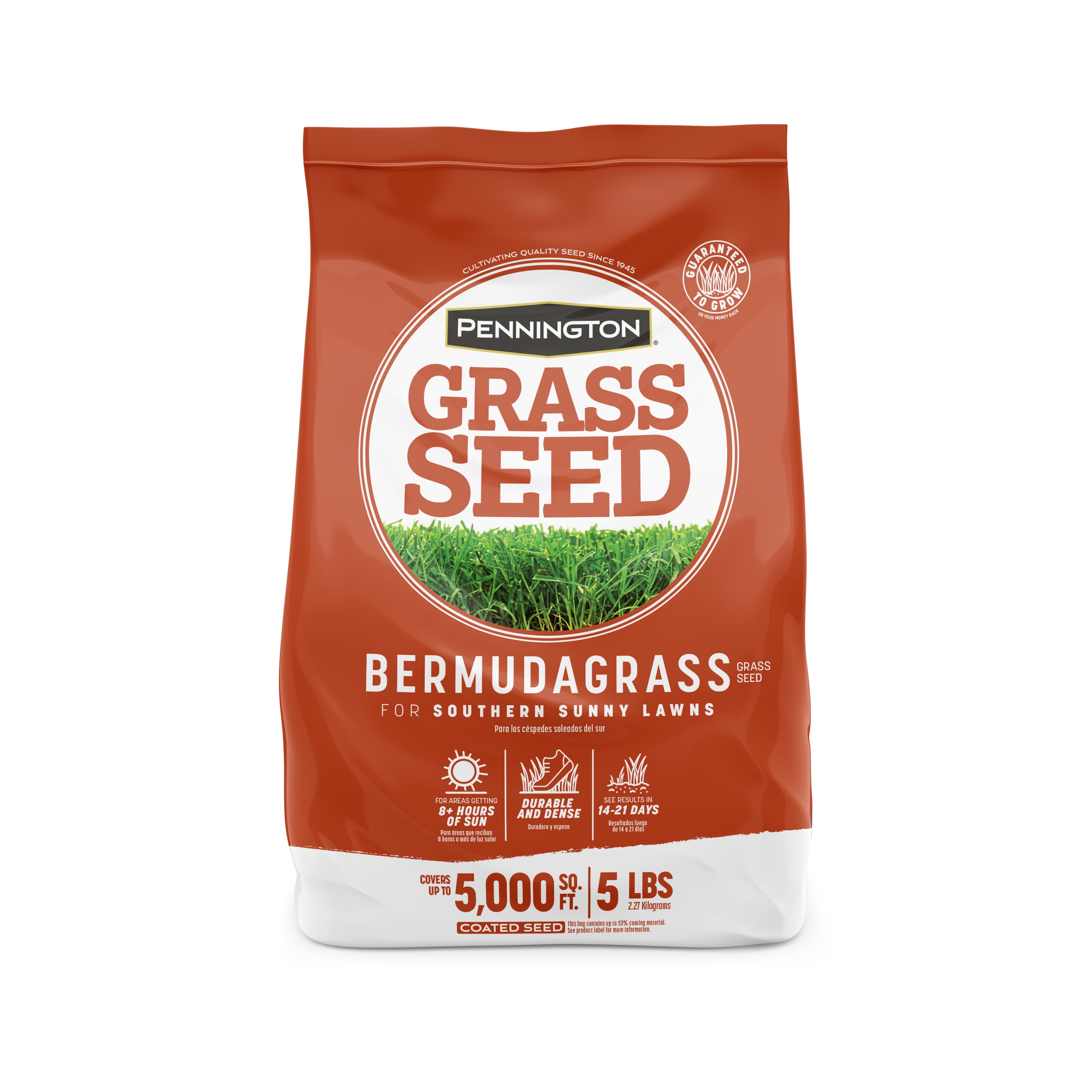 Pennington Sahara Bermudagrass Southern Grass Seed, for Full Sun, 5 lb ...