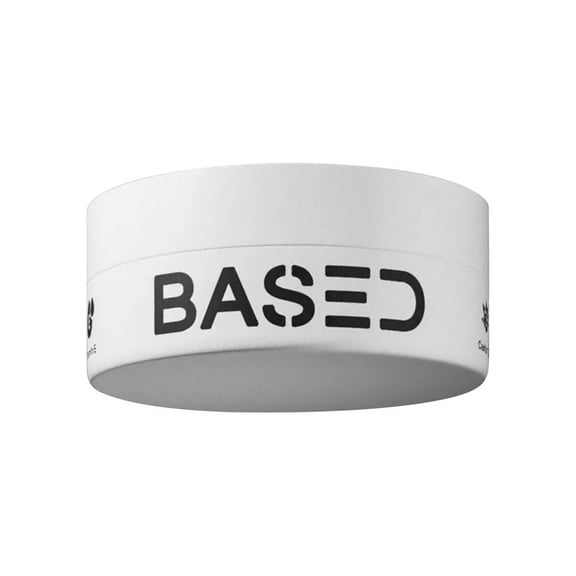 BASED BODYWORKS Premium Hair Clay - Men's Styling Clay with Natural ...