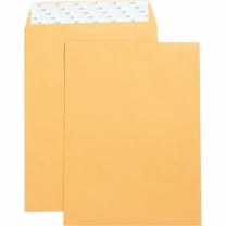 Business Source, BSN42121, Self Adhesive Kraft Catalog Envelopes, 250 ...