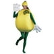 Lemon Adult Halloween Costume - Walmart.com