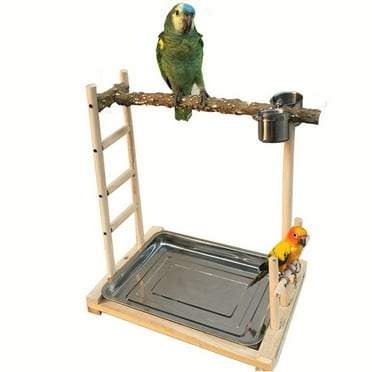 Parrot Bird Perch Table Top Stand Metal Wood 2 Steel Cups Play Medium ...