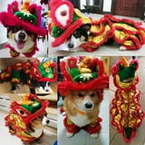 JANDEL Dragon Dance Costume, Red, Medium - Walmart.com