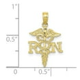 FB Jewels 10K Yellow Gold Registered Nurse RN Caduceus High Polish and ...