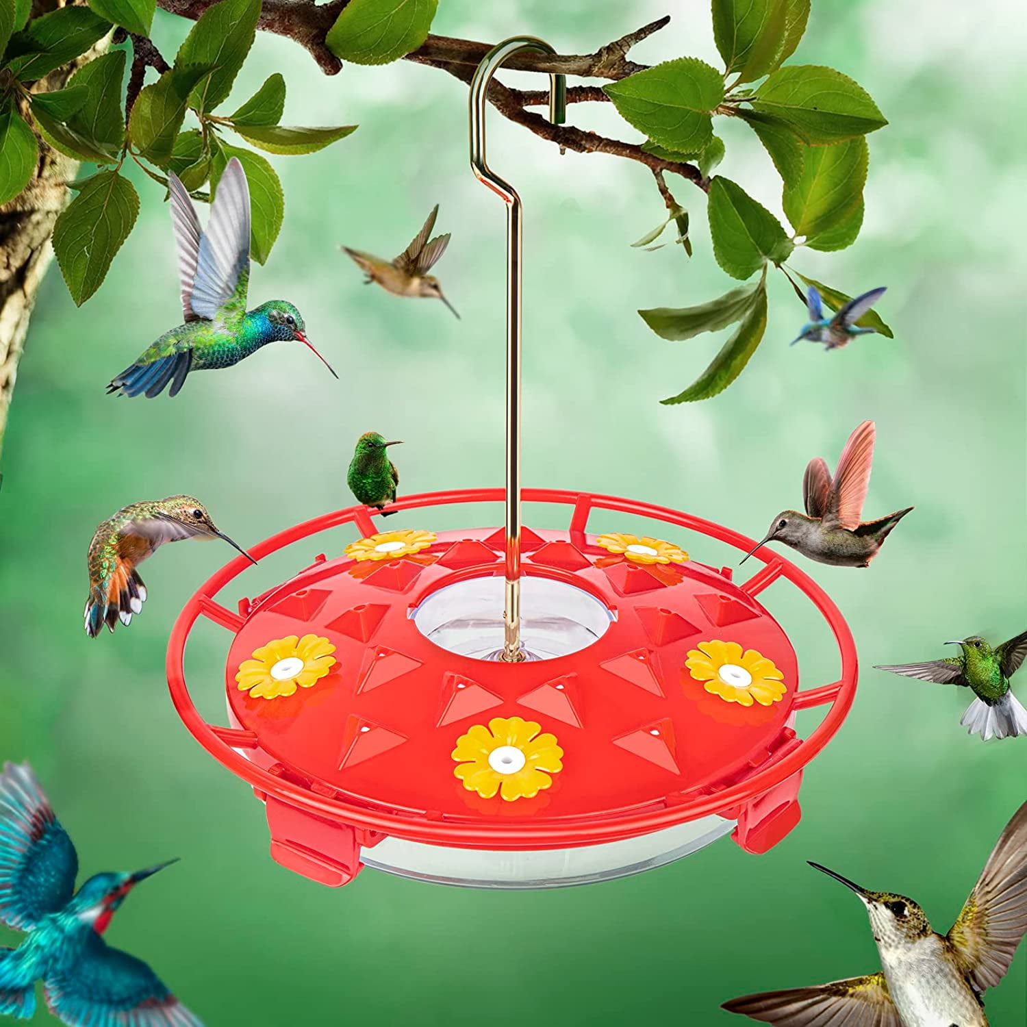 Bird Deterrent Spikeshummingbird Feeders For Outdoors Hanging 20 Feeding Ports For Attract More