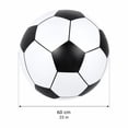 Inflatable Beach Ball 24 Inch Pool Toys Outdoor Toys Water Toys Summer ...