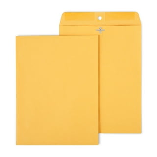 Staples Extra-Heavyweight Clasp & Moistenable Glue Catalog Envelopes 9 ...