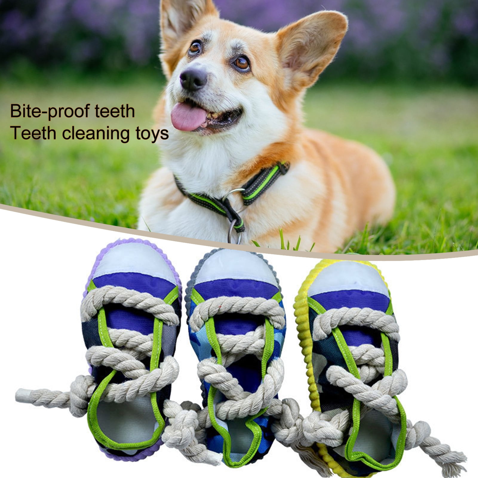Sarkoyar Pet Toy Bite Resistant Interactive Plush Relieve Anxiety Shoe ...