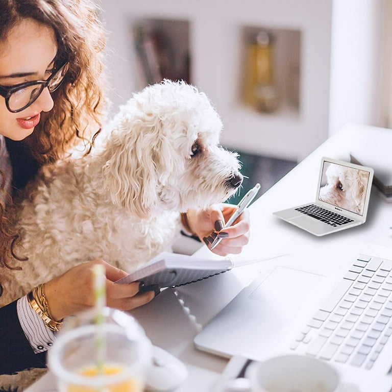 Dog Laptop