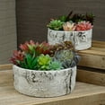 2 Piece Ceramic Birch Log Flower Plant Pot Set Indoor Outdoor Patio ...