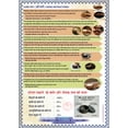 Rajender Clay Handicraft Premium Handmade Kabutari Curd Pot 750 Ml 100% ...