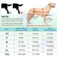 Dog Support Brace and Knee Joint Wrap for Injury Recovery with ...