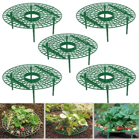 5pcs Strawberry Supports, Adjustable Strawberry Growing Racks Plant ...