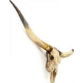 Wall Decor TEXAS Horn Skull Animal Long Polyresin New ZT-1726 - Walmart.com