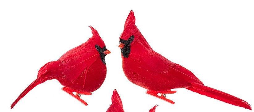 Kurt Adler Velvet Cardinal ON Clip - 2 Assorted - Walmart.com