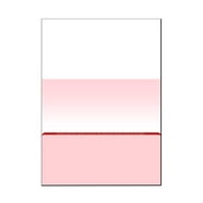 Computer Check Paper - Blank Personal Wallet Checks 3 on a Page ...