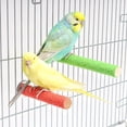 Colorful Frosted Parrot Perch Stand Natural Claw Grinding Pole Easy ...