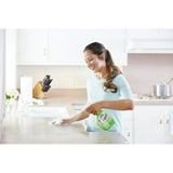 Clorox Clean-Up All Purpose Cleaner, Bleach Spray, Original, 32 oz Twin ...