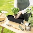 12x3.8 Inch Herb Planters with Tray, Rectangle Window Boxes for Indoor ...
