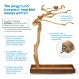 Prevue Pet Parrot Playstand, Large Coffeawood Java Tree Floor Stand ...