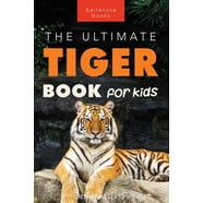 Little Tiger (Board book) - Walmart.com