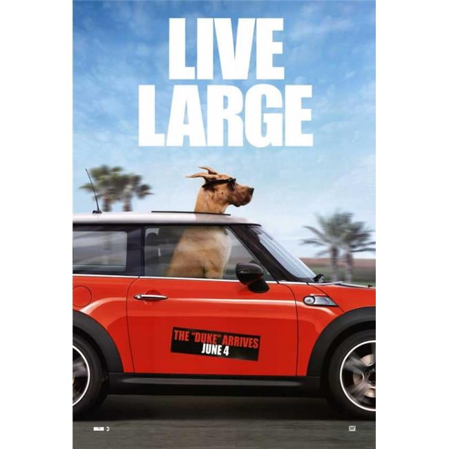 Marmaduke Movie Poster