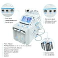 6-in-1 Hydrogen Oxygen Small Bubble Beauty Multifunction skin care ...