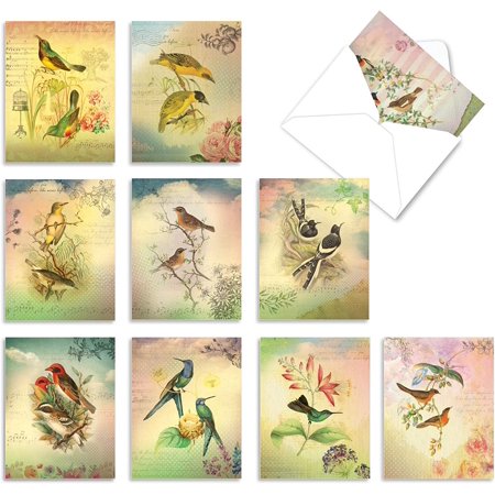- 10 Bird Note Cards Blank (4 x 5.12 Inch) - All Occasion Cards with ...