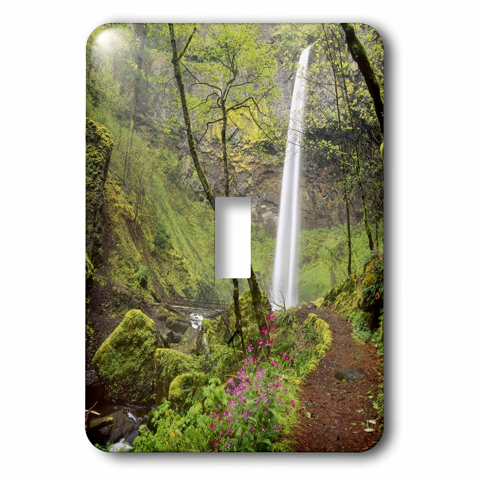 Elowah Falls, Everlasting Pea, Columbia Gorge scenic area, Oregon ...