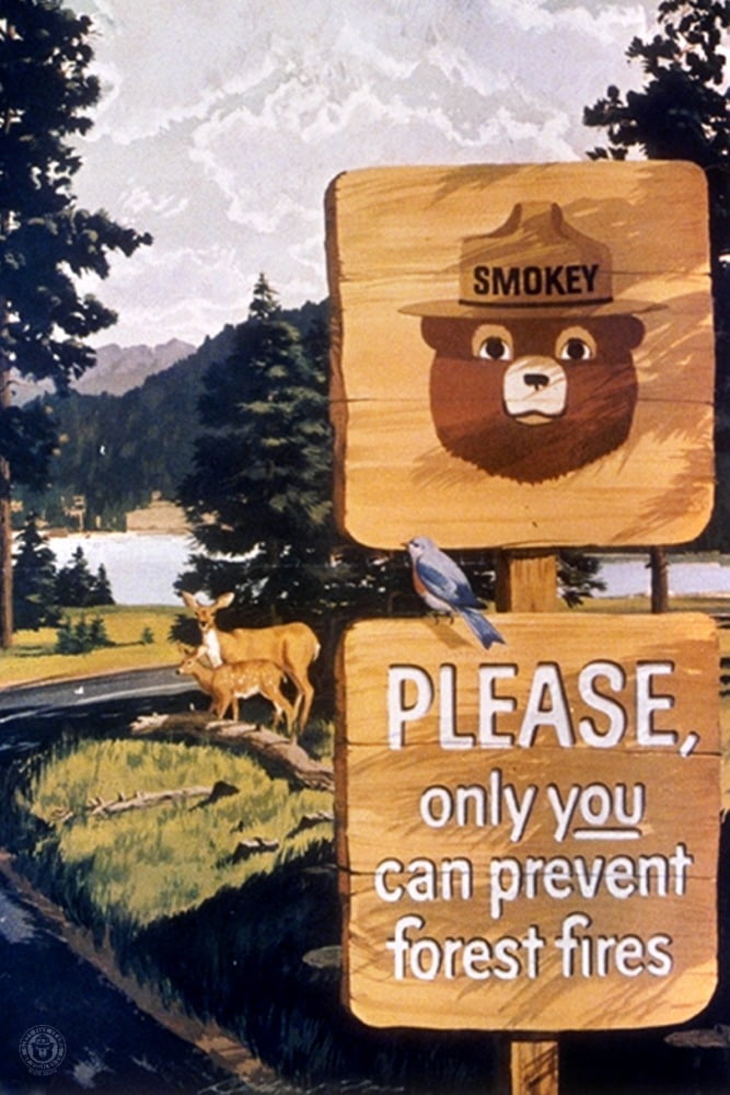Smokey Bear, Smokey Signs, Vintage Poster (16x24 Giclee Gallery Art ...