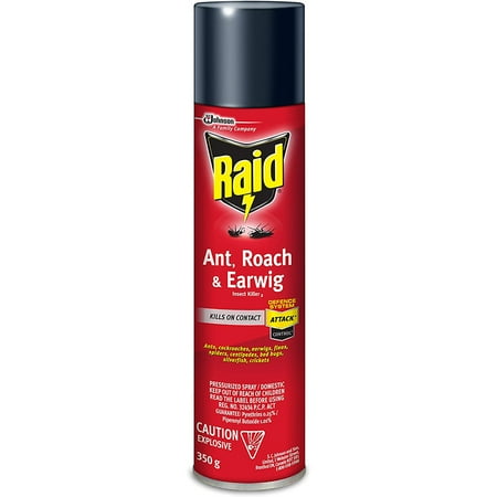 Raid Ant, Roach and Earwig Insect Killer 350 G - Walmart.ca