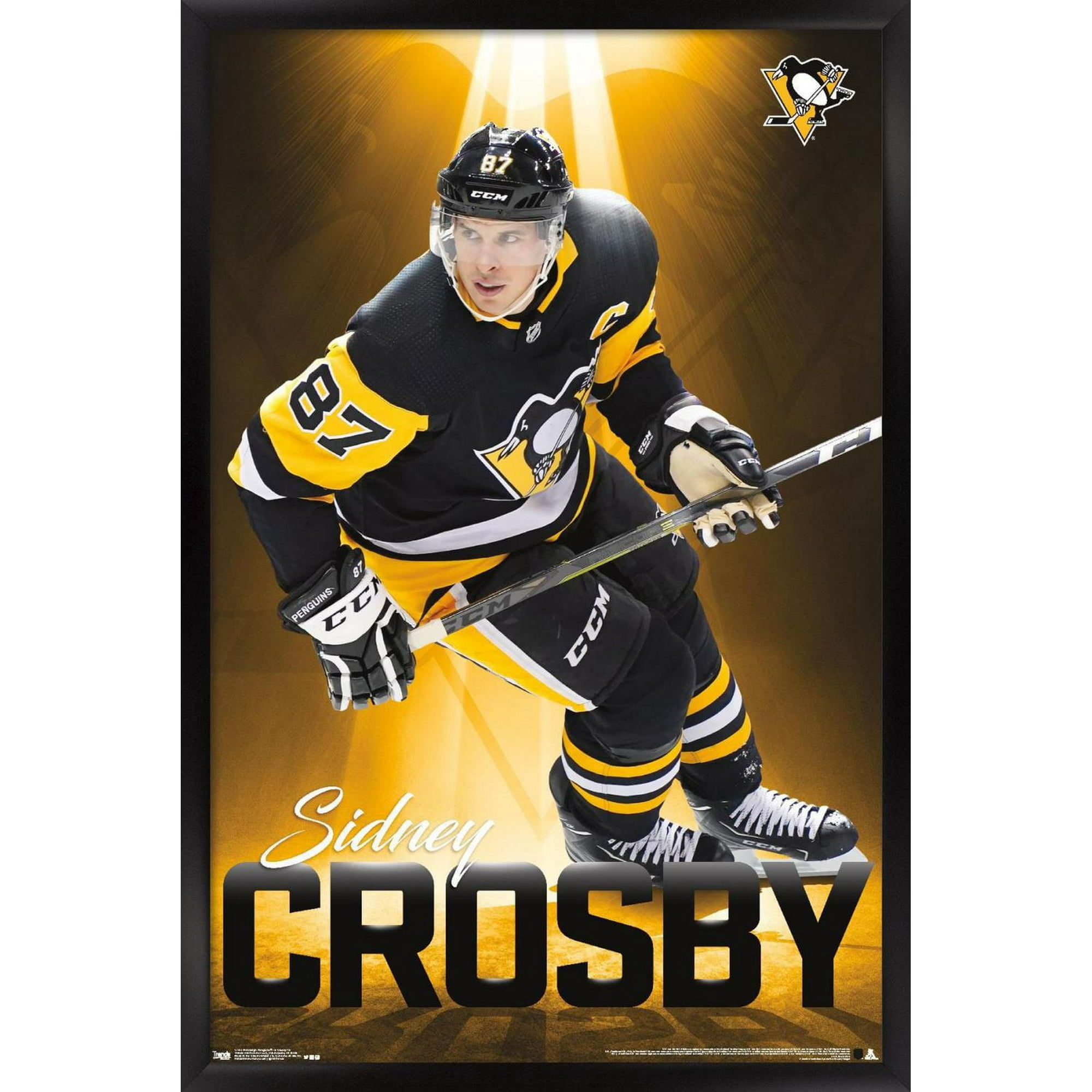 Click here for Trends International Nhl Pittsburgh Penguins - Sid... prices