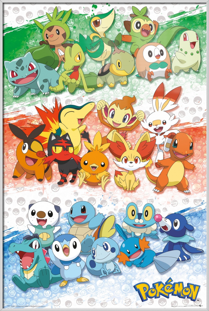 Pokemon - Framed TV Show / Gaming Poster (First Partners) (Size: 24" x ...
