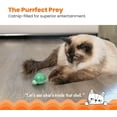 Catnip Diffuser Refillable Cat Toy - Walmart.com