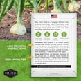 2 Packs Ailsa Craig Onion Seed - Long-Day Sweet Yellow Onions - Non-GMO ...