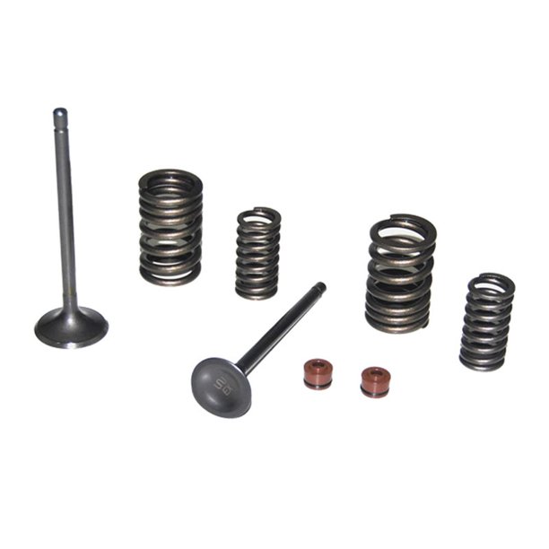 VALVULA ADMISION/ESCAPE SET ITALIKA FT 125 (05-12) (WSTD) multicolor | Bodega Aurrera en línea