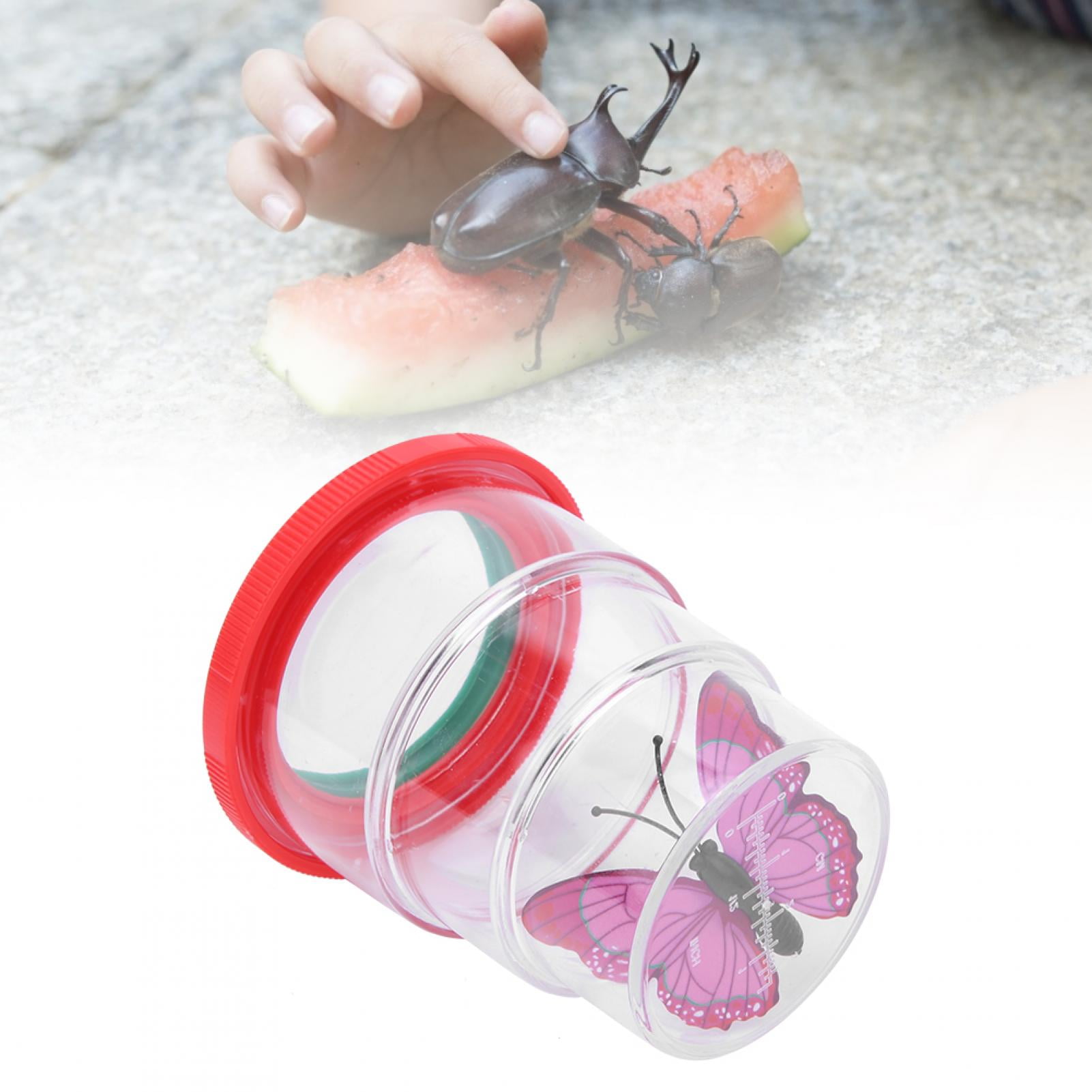 Caja de visor de insectos Fugacal Plegable Tres capas Científica y ...