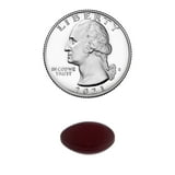 Equate Vision Formula 50+ Soft Gels Dietary Supplement Value Size, 300 ...