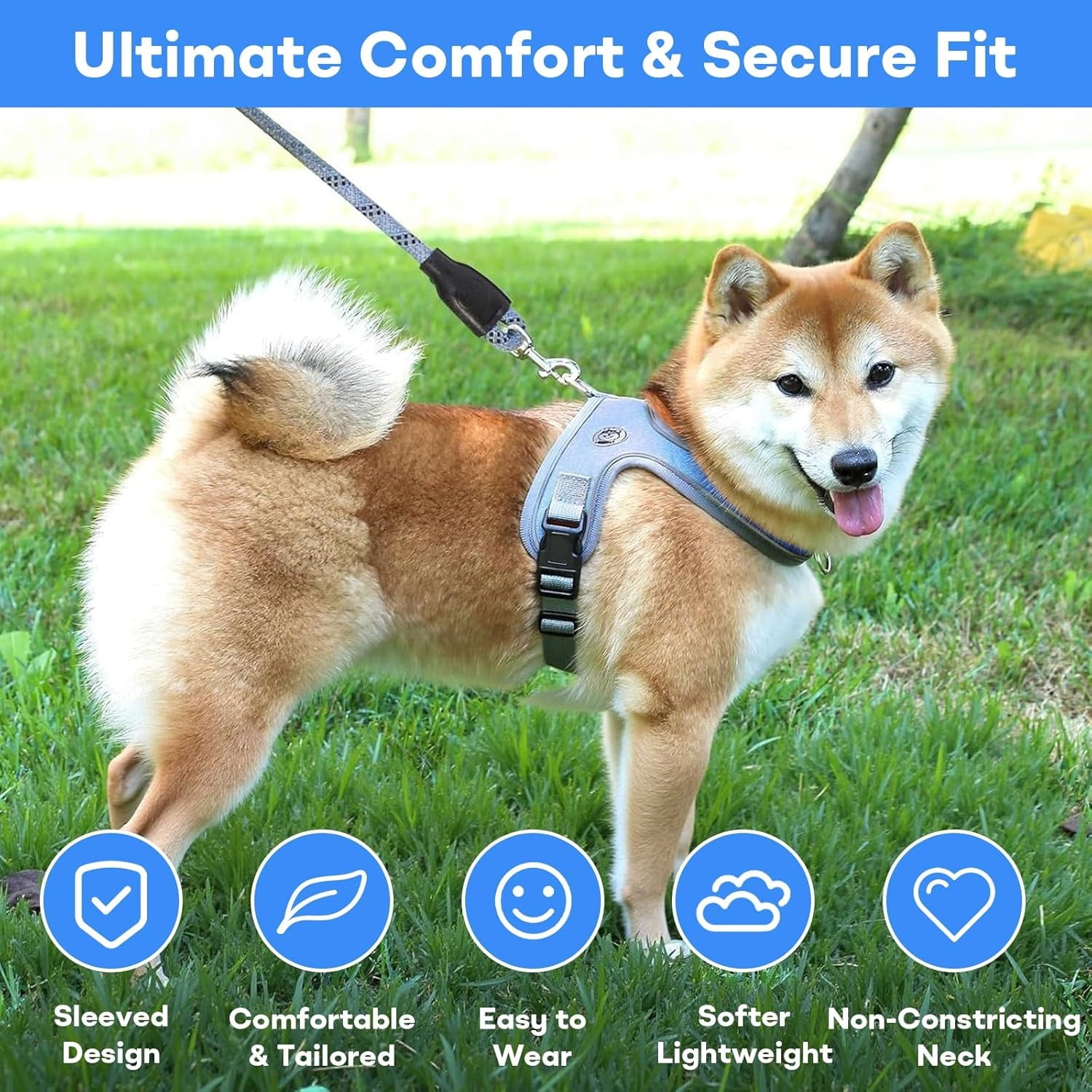 Click here for Unbranded Dog Leash For Small Dogs Breathable No-P... prices