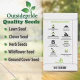Outsidepride Viola Admiration - 2000 Seeds - Walmart.com